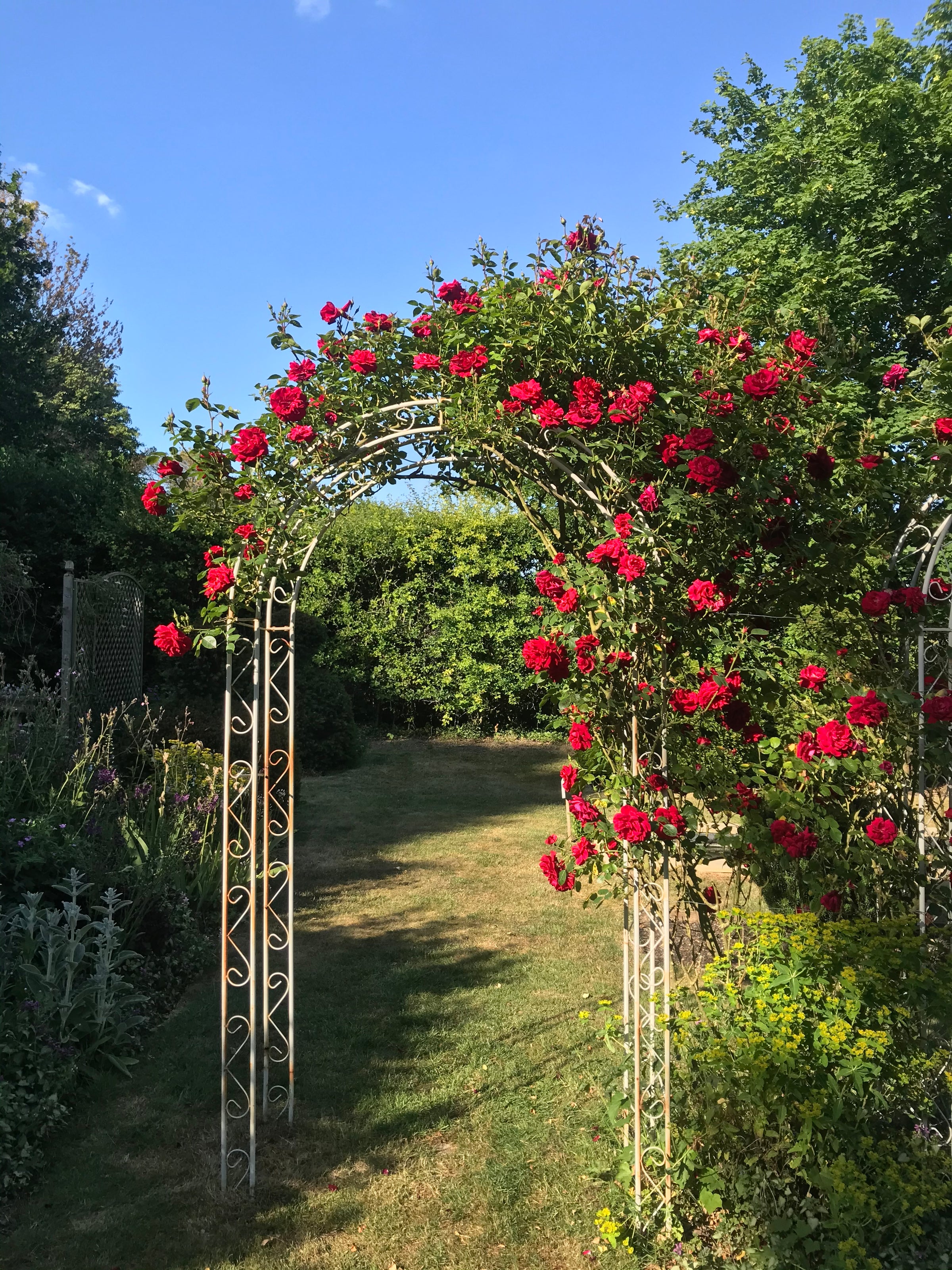 Anna's Kitchen Dining Cake Shop Maison d'Anya Gallery Contact & Hours ...